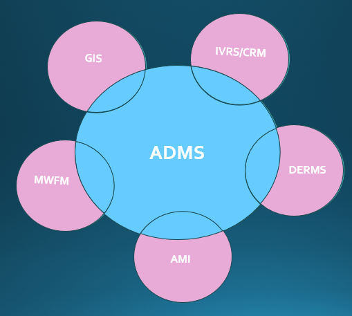 Navigating through ADMS Implementation Challenges