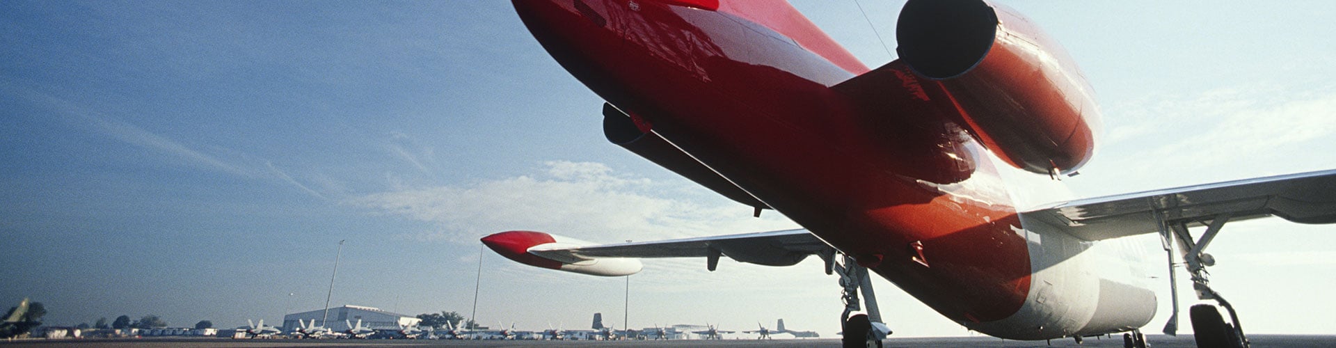 Bird Strike Simulation for Aircraft Structure Certification