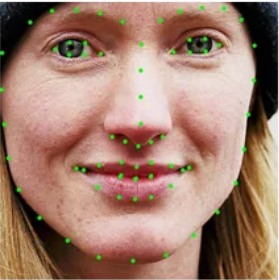 Building an Efficient Face Recognition System